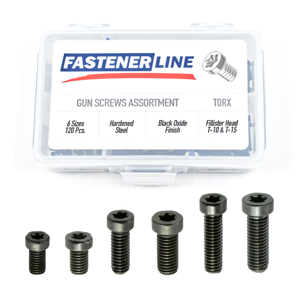 Small Fillister Head Torx Gun Screws Assortment (120 pieces ...
